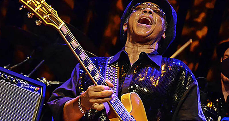 Al McKay performs at Concert Torrevieja | Champions